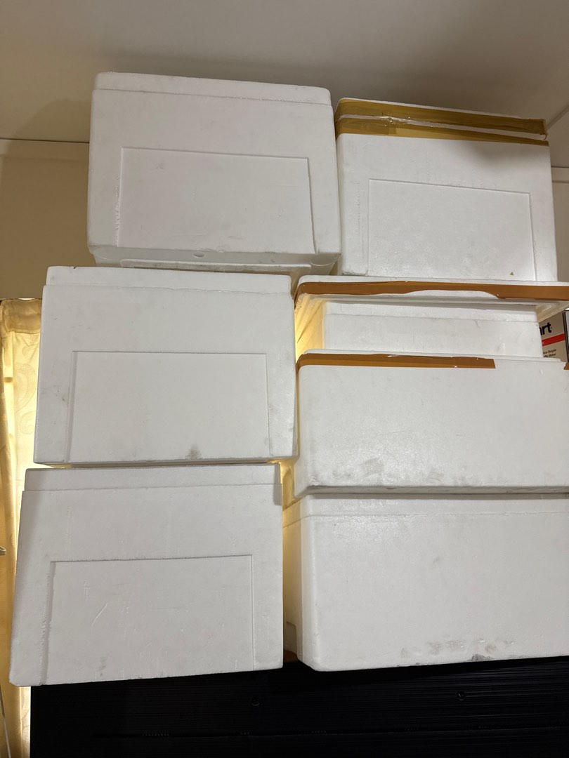 Styrofoam Box, Furniture & Home Living, Outdoor Furniture on Carousell