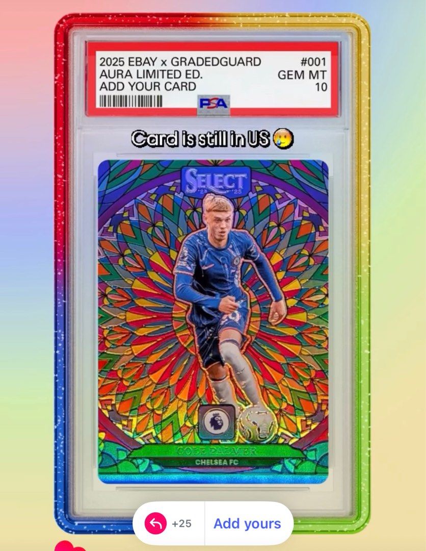 ALEJANDRO GARNACHO STAINED GLASS PSA 10 MANCHESTER UNITED, Hobbies ...