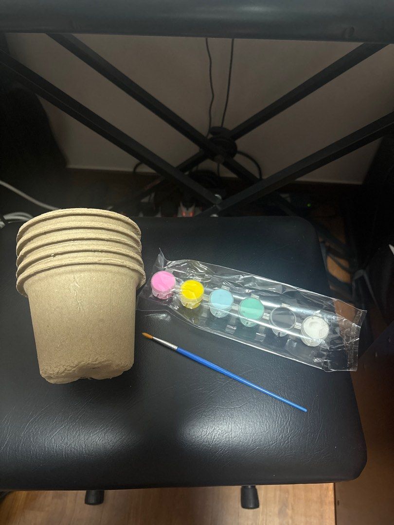 Anko Craft Paint Your Own Flower Pots Kit, Hobbies & Toys, Stationery ...