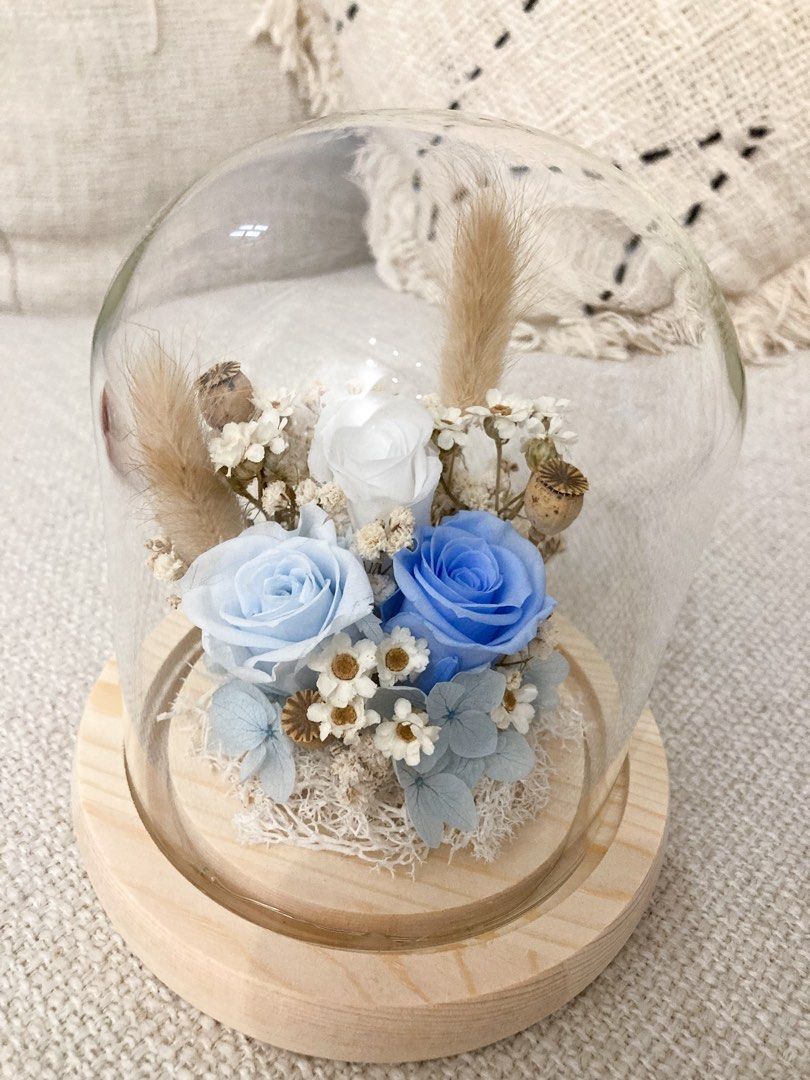 Blue Roses Flower Dome Ever-lasting, Hobbies & Toys, Stationery & Craft ...