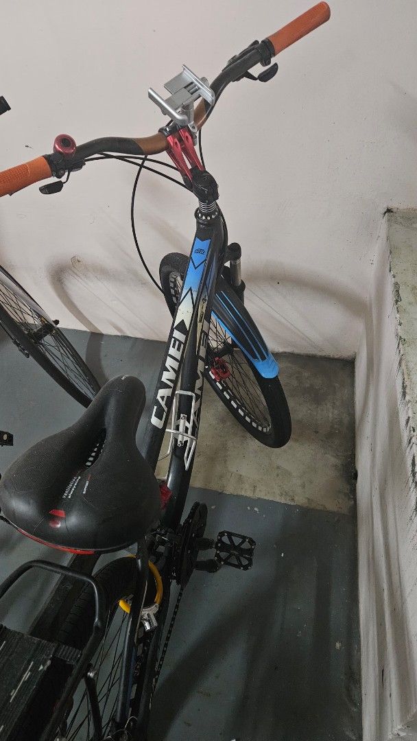 Camel Mountain Bike with Rack, Sports Equipment, Bicycles & Parts ...