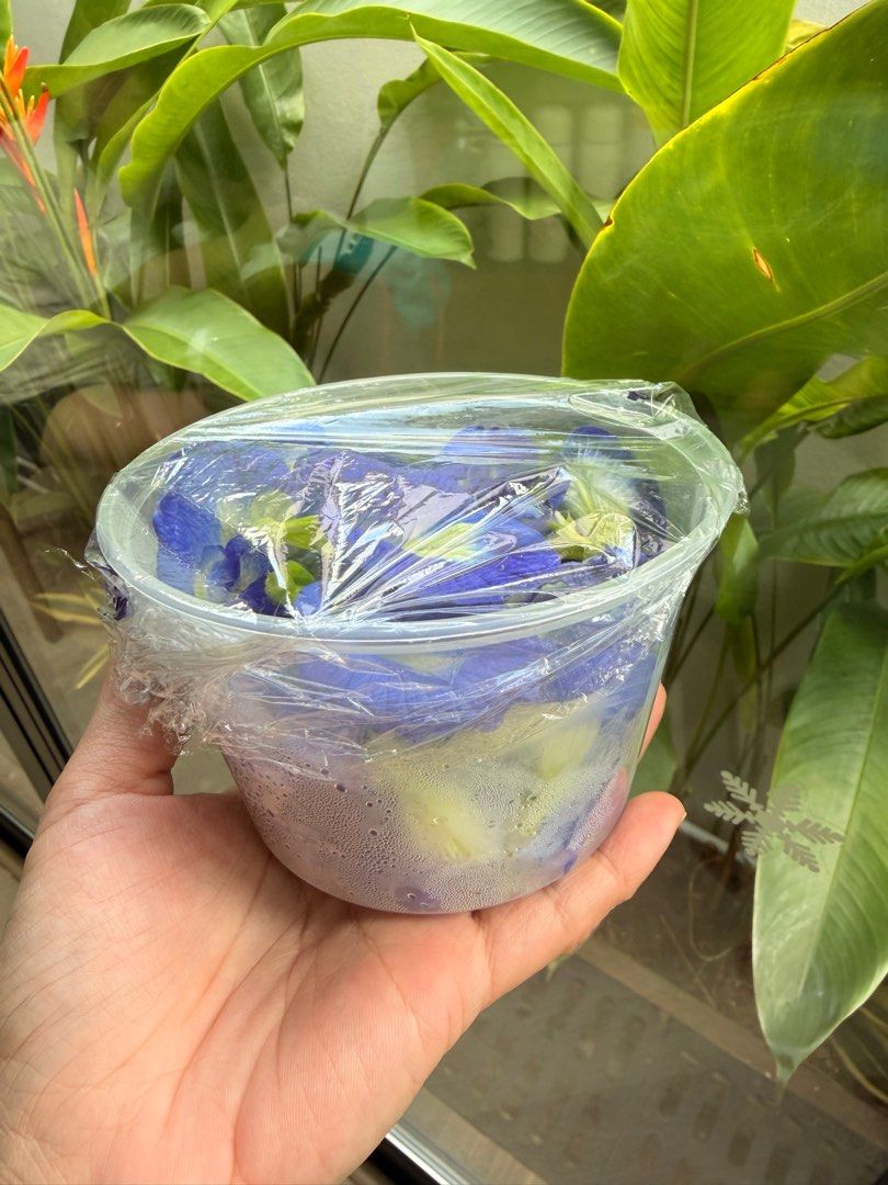 Fresh Butterfly Pea Flowers, Furniture & Home Living, Gardening, Plants ...