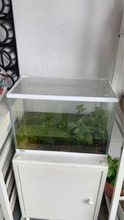 GEX Aquarium with LED Light and Filter, Pet Supplies, Homes & Other Pet Accessories on Carousell