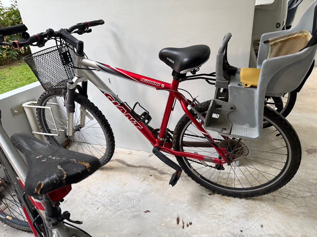 Giant Mountain Bike (Iguana)with Child Seat (19 inch), Sports Equipment ...