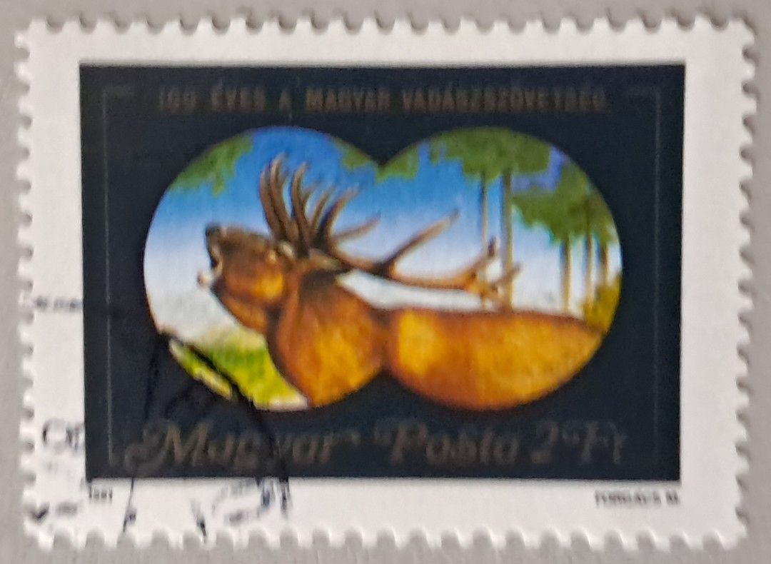 Hungarian Stamp - Deer, Hobbies & Toys, Memorabilia & Collectibles ...