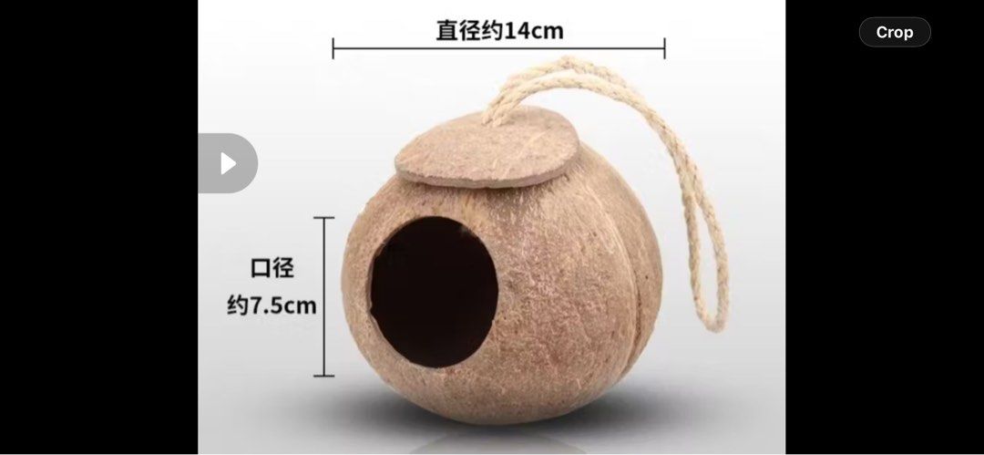 Natural Coconut Bird Nest with Ladder, Pet Supplies, Homes & Other Pet ...