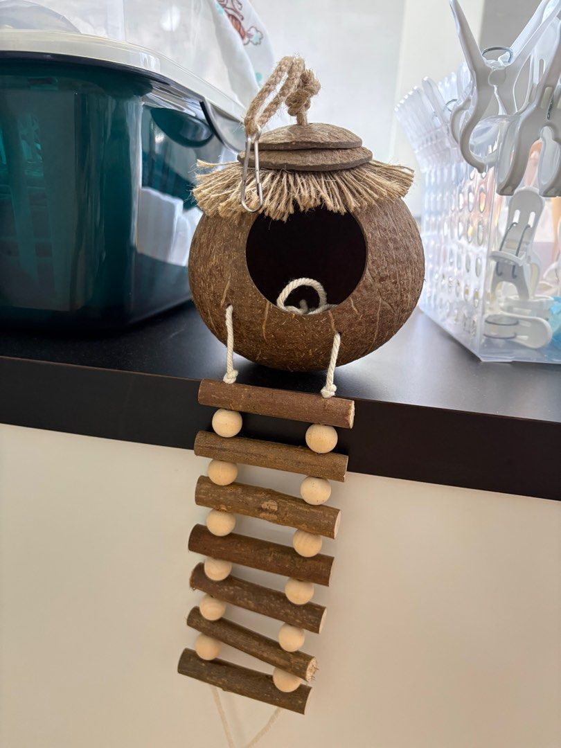 Natural Coconut Bird Nest with Ladder, Pet Supplies, Homes & Other Pet ...
