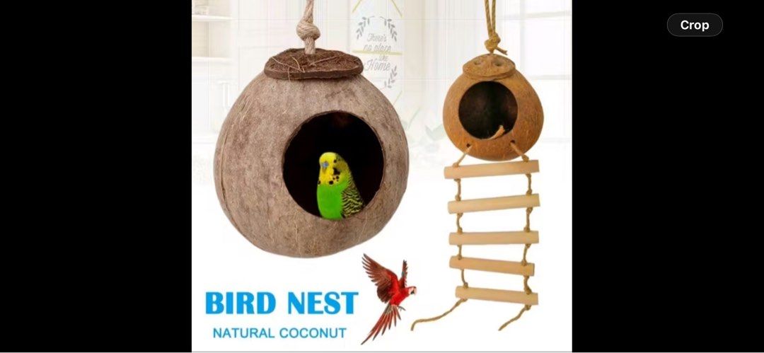 Natural Coconut Bird Nest with Ladder, Pet Supplies, Homes & Other Pet ...