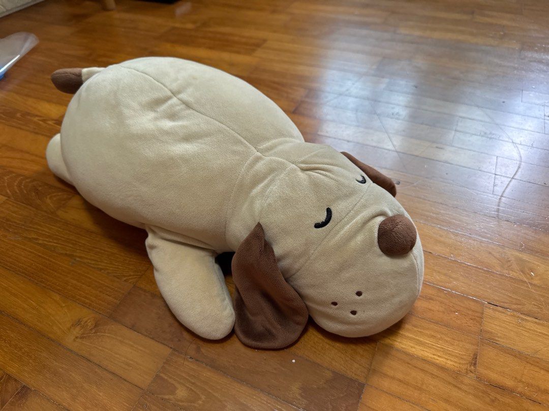 Soft Plush Dog Toy from miniso, Hobbies & Toys, Toys & Games on Carousell