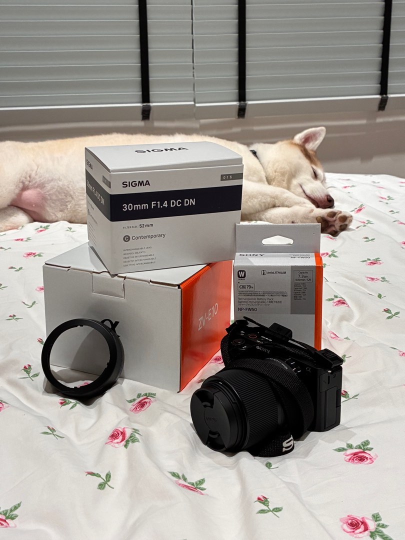 Sony ZV-E10 & Sigma 30mm F1.4 Lens, Photography, Cameras on Carousell