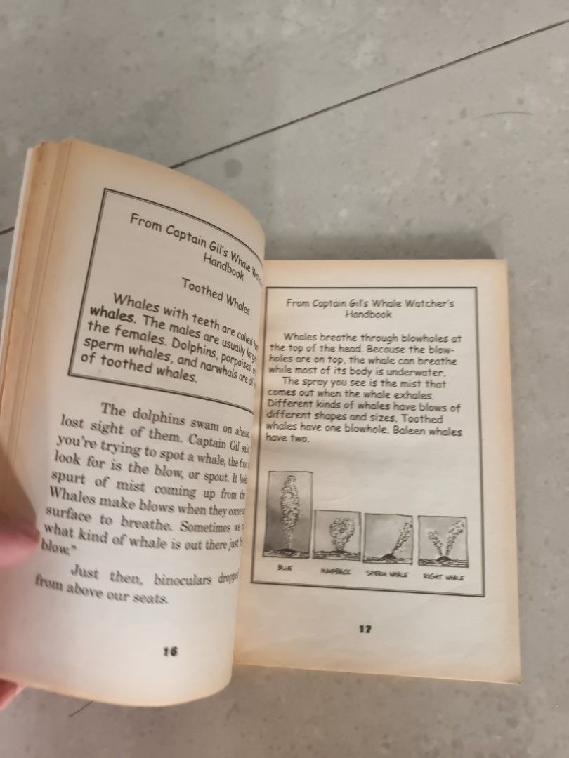 The Magic School Bus Chapter Book: The Wild Whale Watch, Hobbies & Toys ...