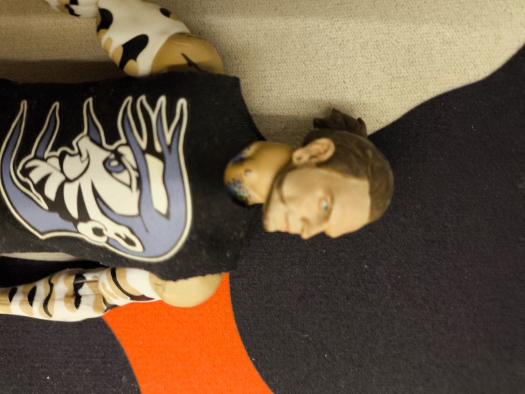 Wwe chris jericho roman reigns jeff hardy figure, Hobbies & Toys, Toys ...