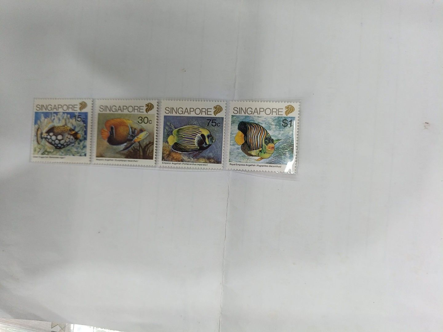 1989 Singapore stamps Marine fish, Hobbies & Toys, Memorabilia ...