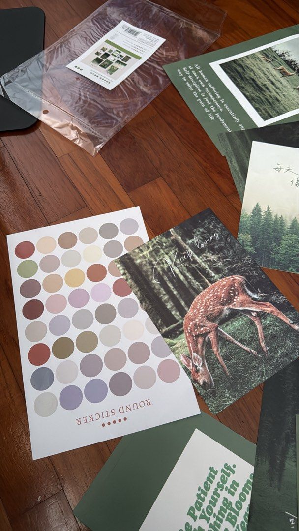 Aesthetic Green Nature house wall deco, Hobbies & Toys, Memorabilia ...