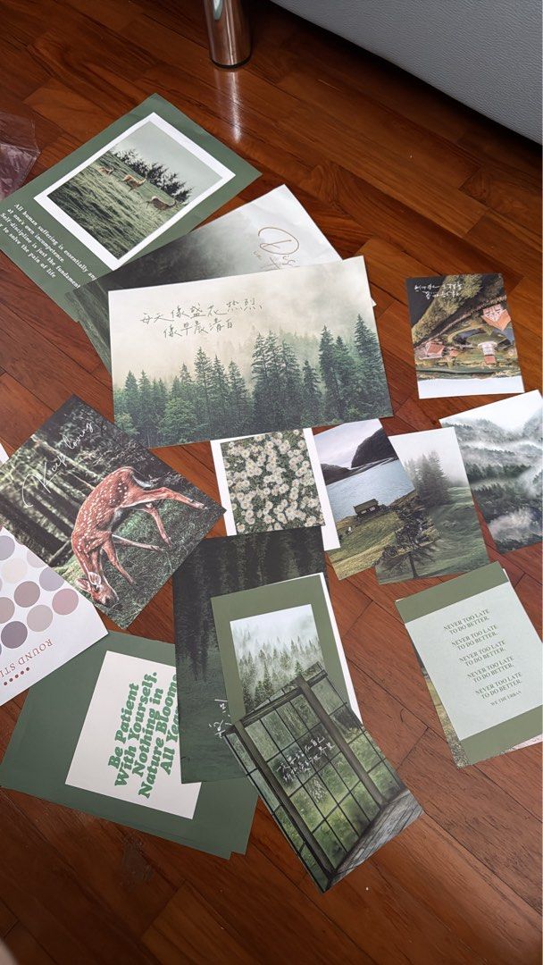 Aesthetic Green Nature house wall deco, Hobbies & Toys, Memorabilia ...