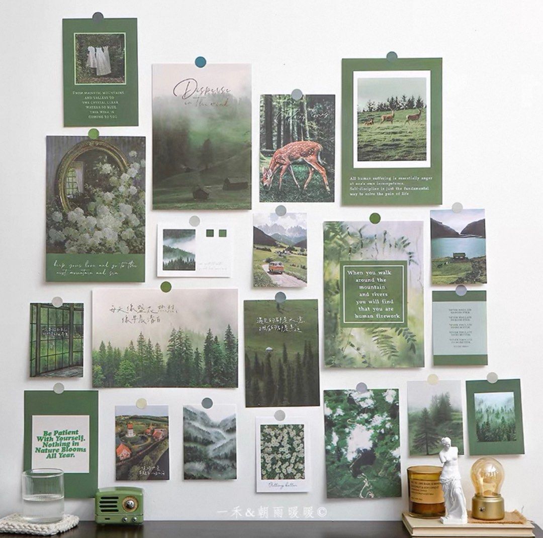 Aesthetic Green Nature house wall deco, Hobbies & Toys, Memorabilia ...