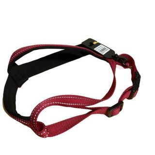 Trustie Reflective Safety Pet Collar, Pet Supplies, Homes & Other Pet ...