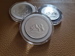 Canadian $5 Coin, Hobbies & Toys, Memorabilia & Collectibles, Currency ...