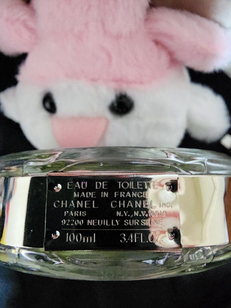 Chanel Chance Eau Fraiche Eau de Toilette 100ml, Beauty & Personal Care ...