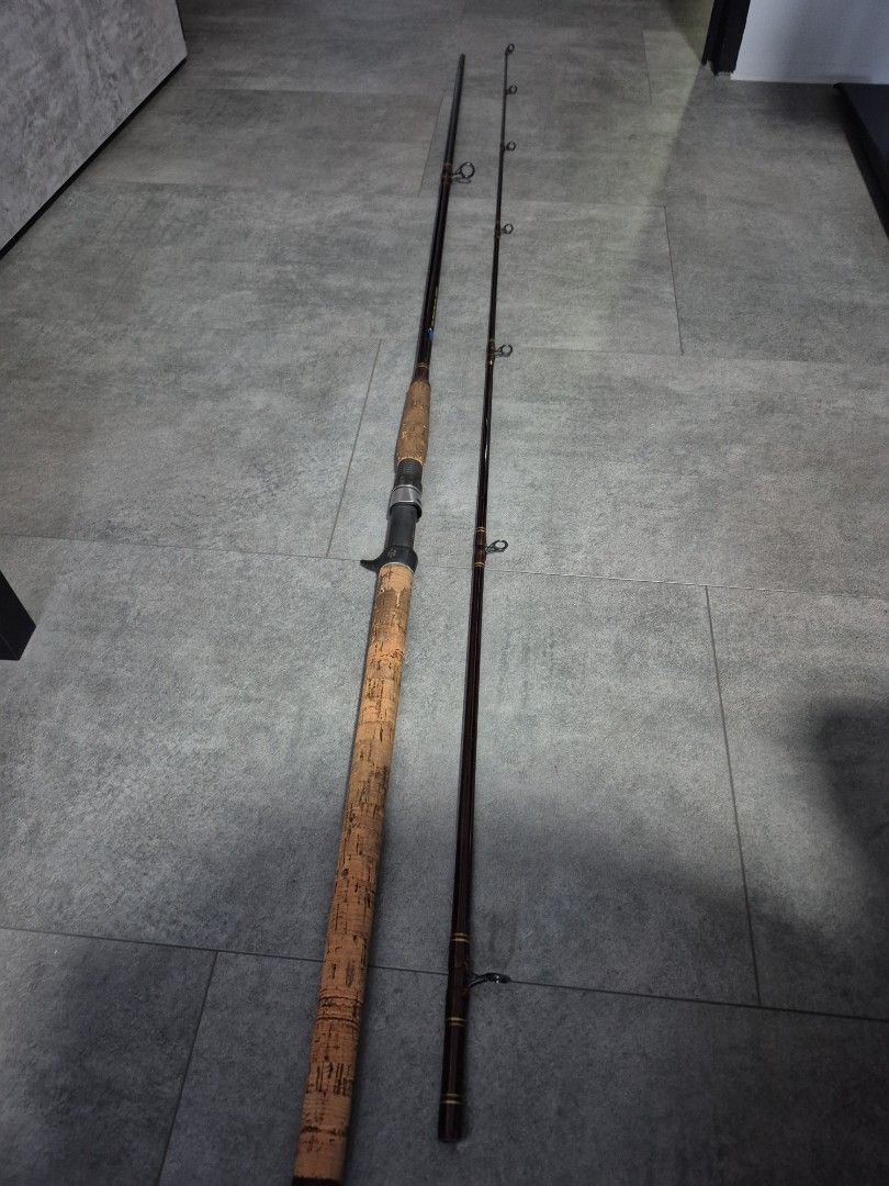 Exori Fishing Rod med heavy, Sports Equipment, Fishing on Carousell