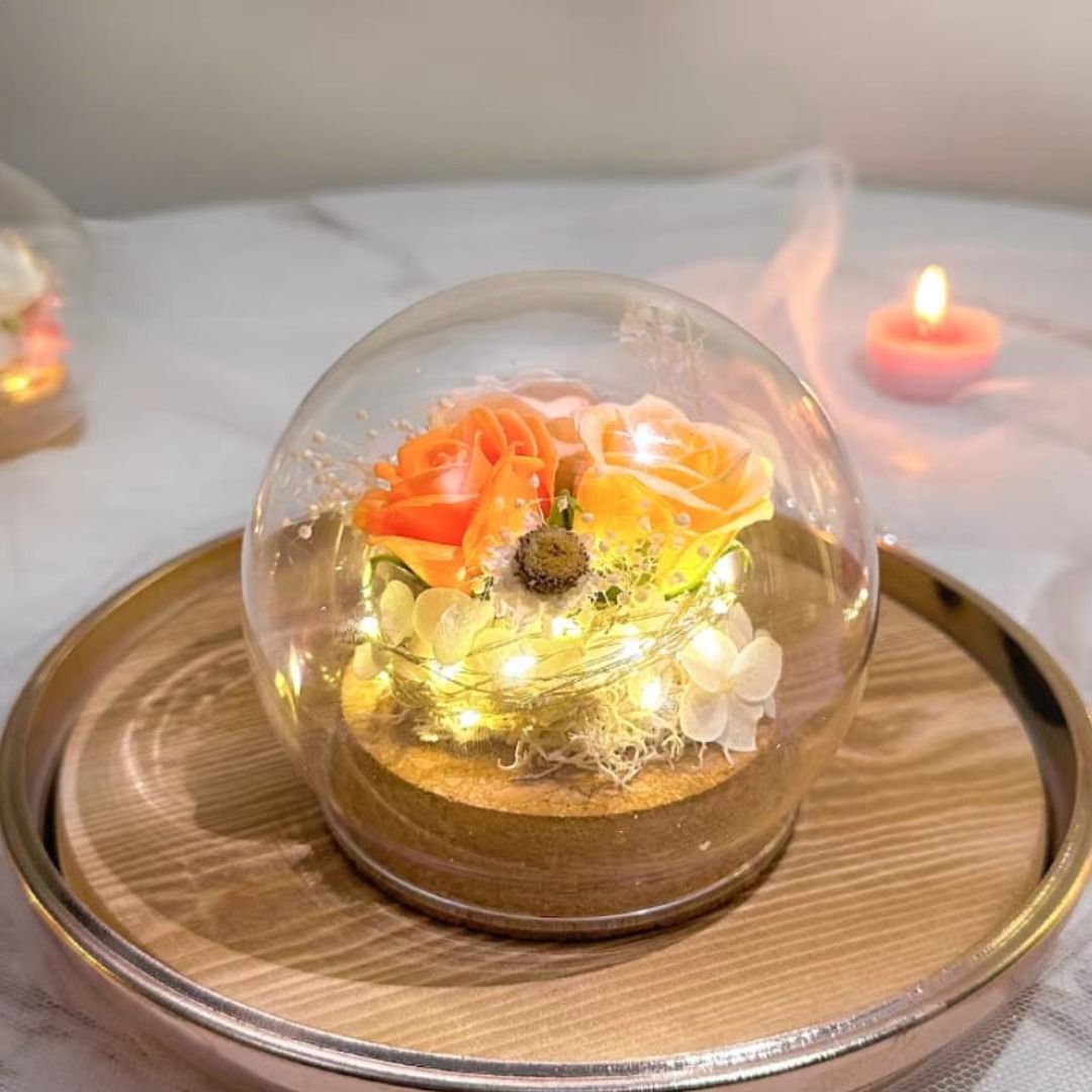 Flower Dome Light Valentine's Day Gift | Birthday Gift, Hobbies & Toys ...