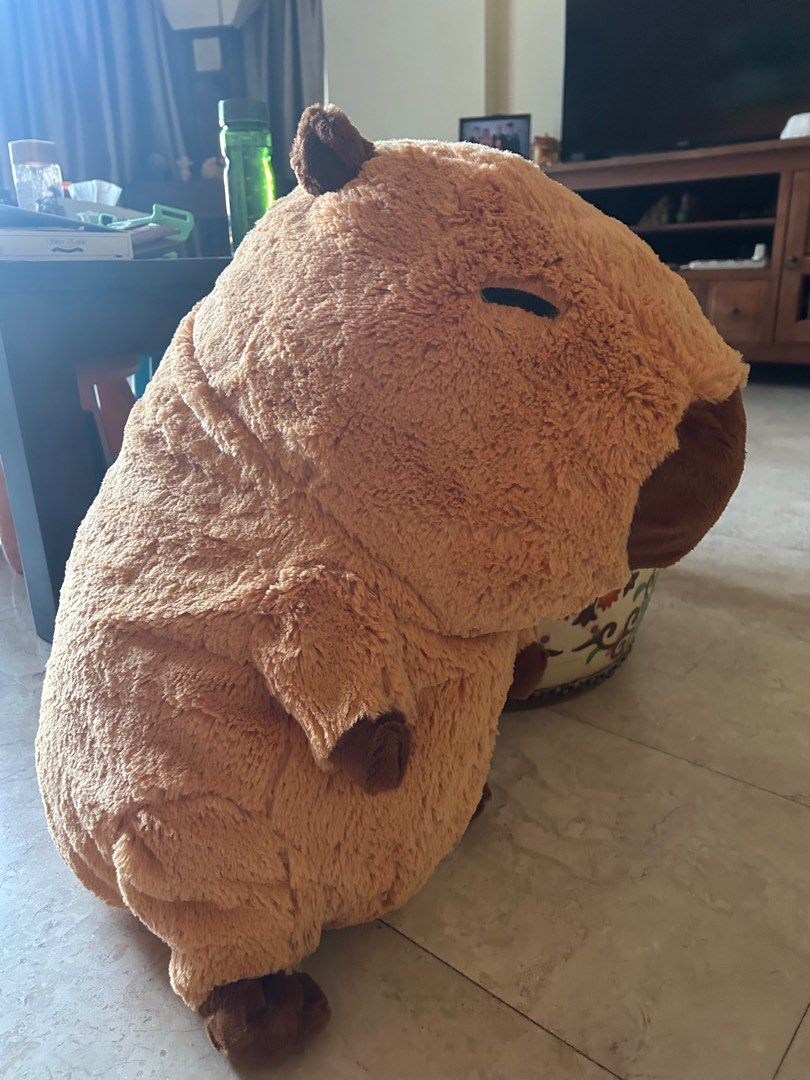 Large Capybara Plush Toy -60cm Japan, Hobbies & Toys, Toys & Games on ...