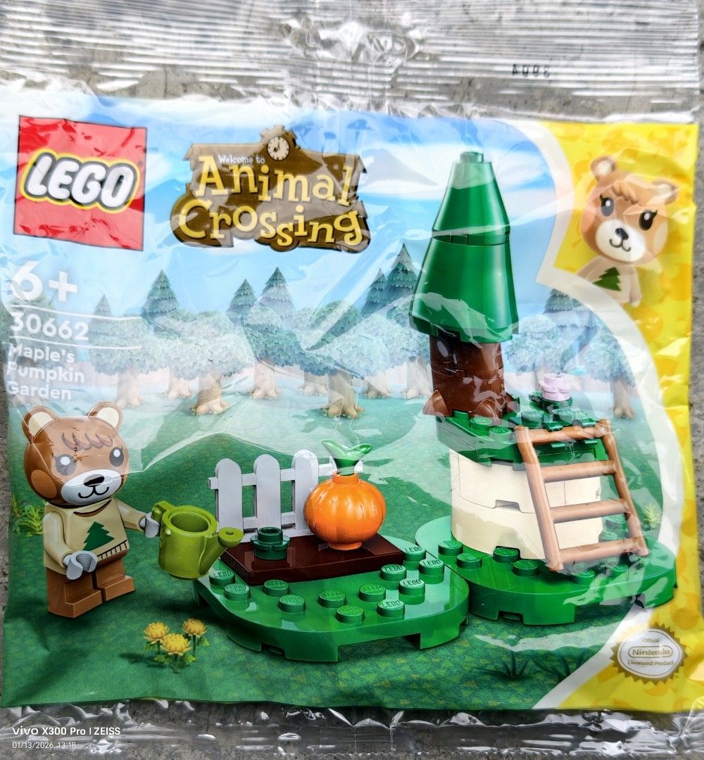 LEGO Animal Crossing Maple's Pumpkin Garden 30662, Hobbies & Toys, Toys ...