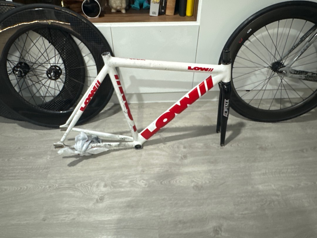 LOWii Track Bike Frame with Alpina fork, Sports Equipment, Bicycles ...