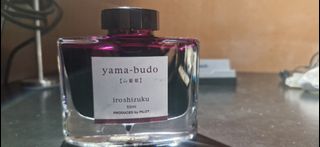 Pilot Iroshizuku Inks - Ina-ho & Fuyu-syogun, Hobbies & Toys ...