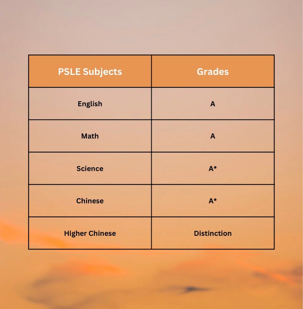 PSLE, O/N/A Level Tuition, Learning & Enrichment, Enrichment & Tuition ...