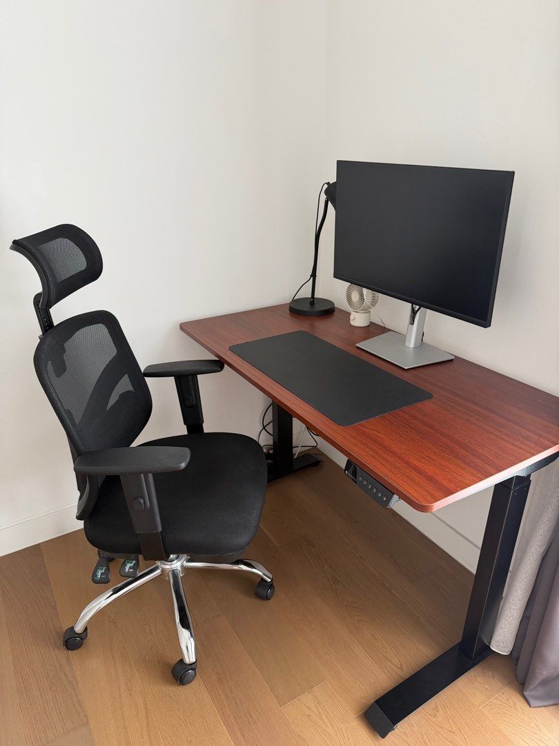 Squirrey Electric Standing Desk & Ergonomic Office Chair, Furniture ...