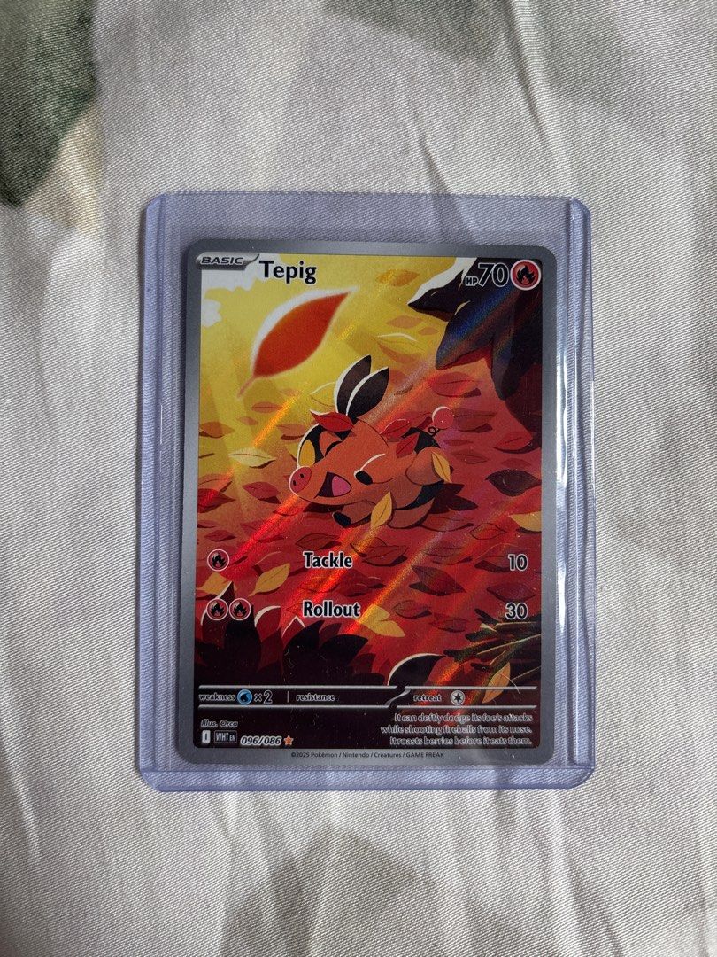 Tepig IR 096/086, Hobbies & Toys, Toys & Games on Carousell