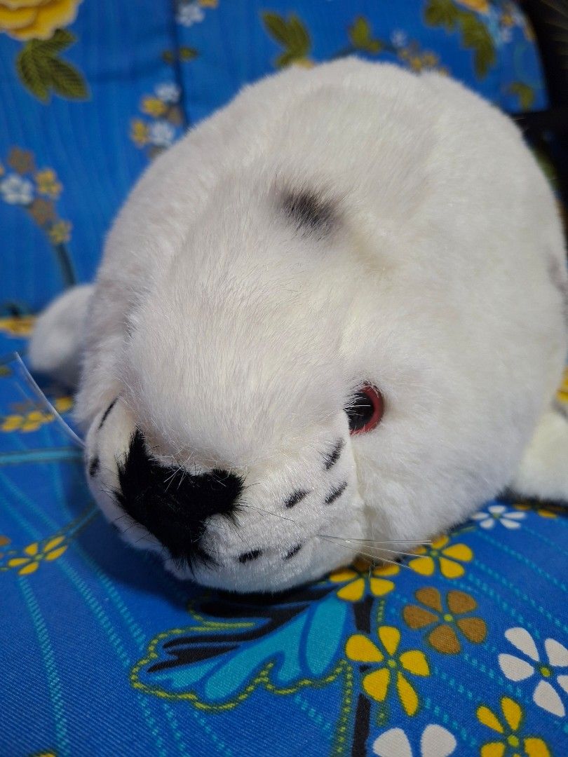 White Seal Plush Soft Toy Bolster, Hobbies & Toys, Toys & Games on ...