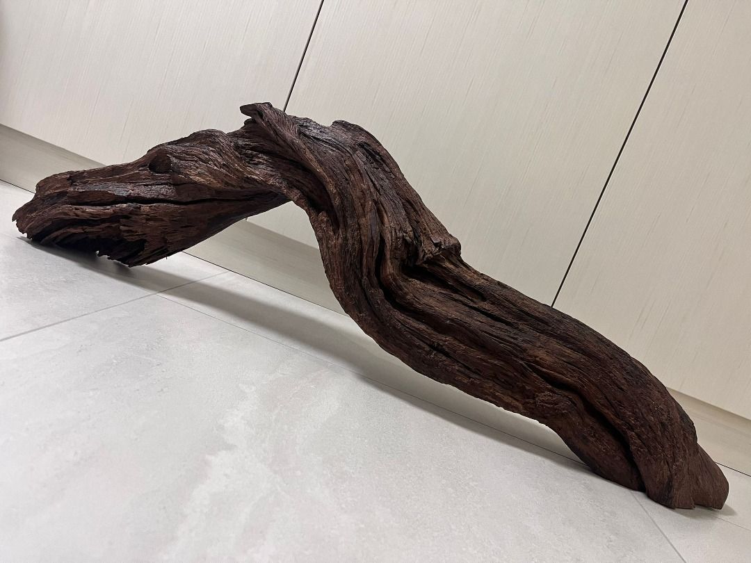 XL Long Aquarium Driftwood Fish Tank Arowana Discus Stingray Altum ...