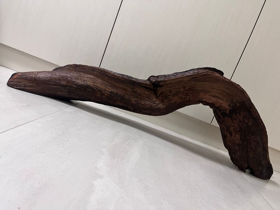 XL Long Aquarium Driftwood Fish Tank Arowana Discus Stingray Altum ...