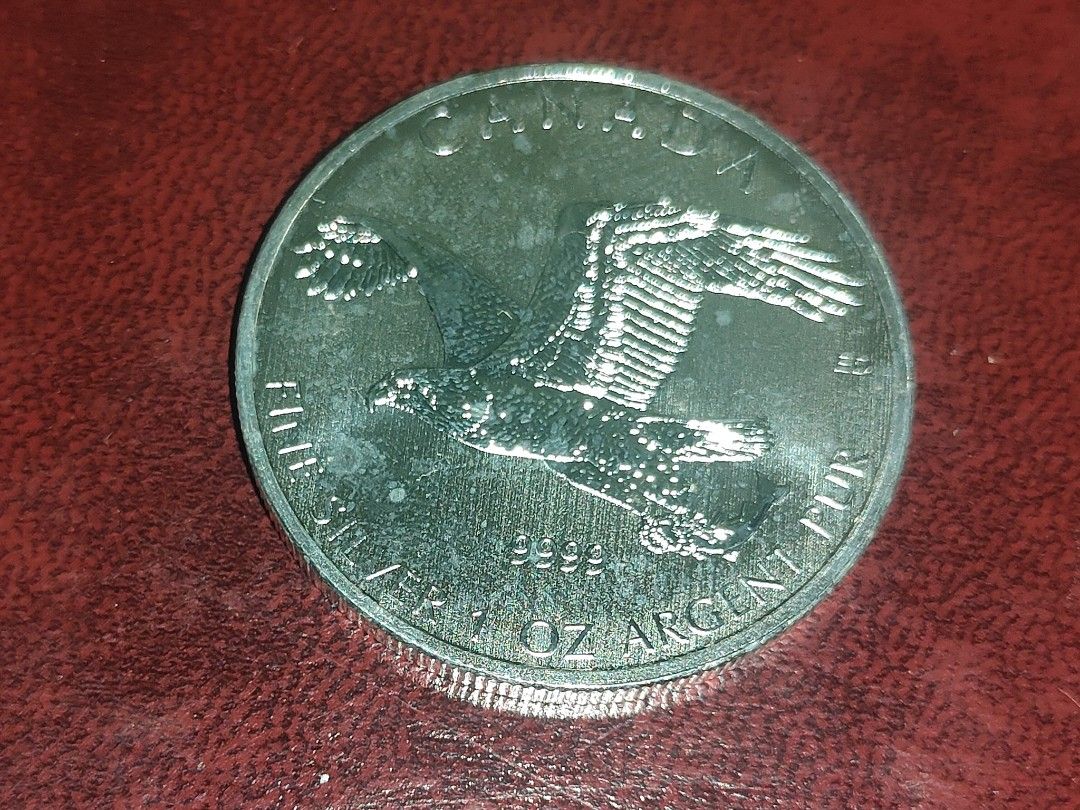 2014 Canada Silver 1 oz coin Bald Eagle, Hobbies & Toys, Memorabilia ...