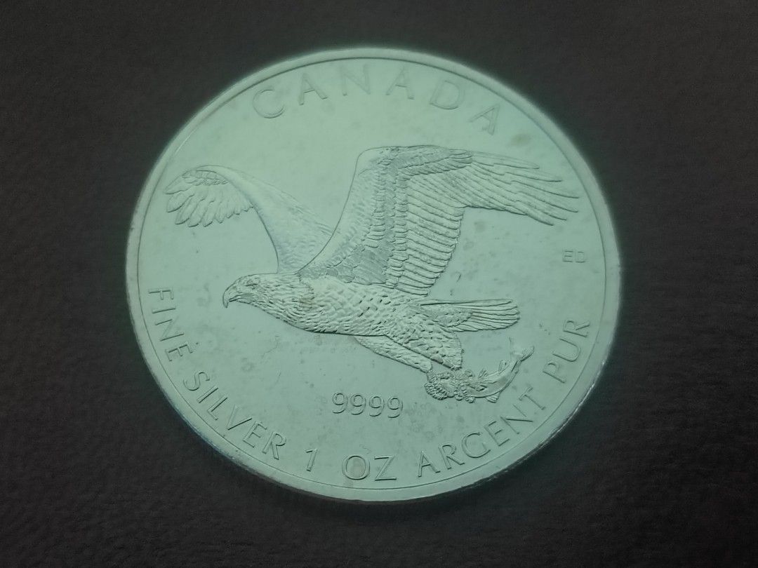 2014 Canada Silver 1 oz coin Bald Eagle, Hobbies & Toys, Memorabilia ...