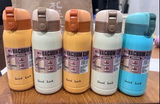 Roman Stainless Steel Vacuum Ice Bottle - 500ml, Furniture & Home ...