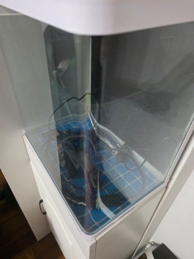 Aquarium with White Cabinet (NEGOTIABLE), Pet Supplies, Homes & Other ...