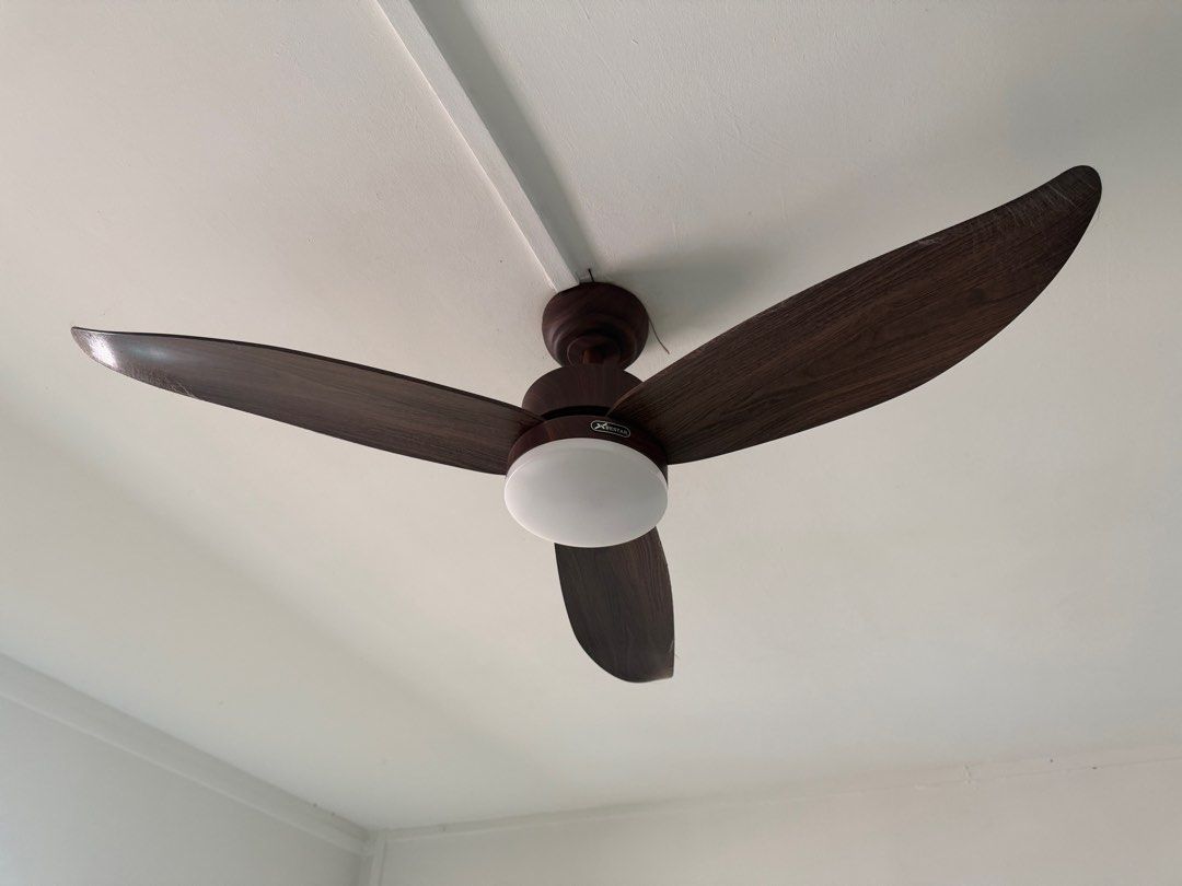 Bestar DC Ceiling Fan with Light 42", Furniture & Home Living, Lighting ...