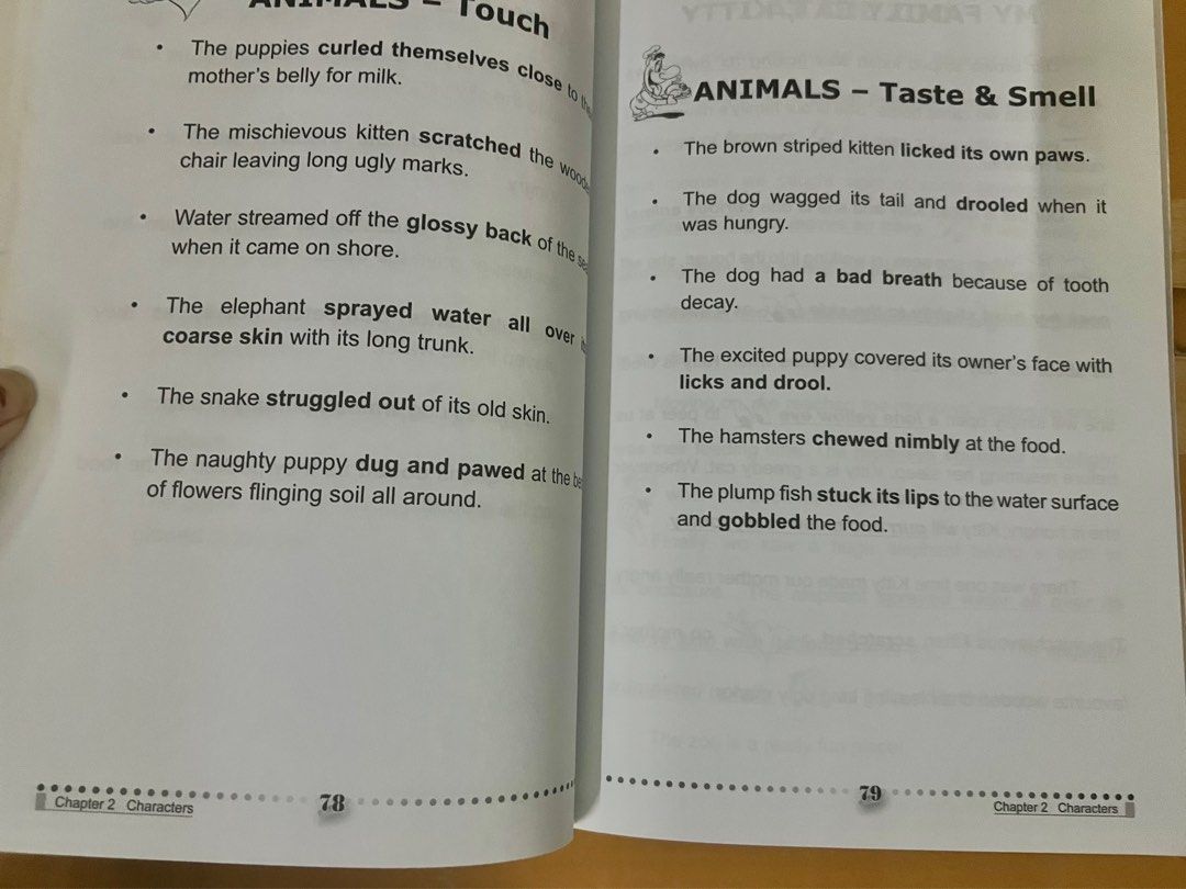 Casco Phrases for Sensational Writing 2, Hobbies & Toys, Books ...