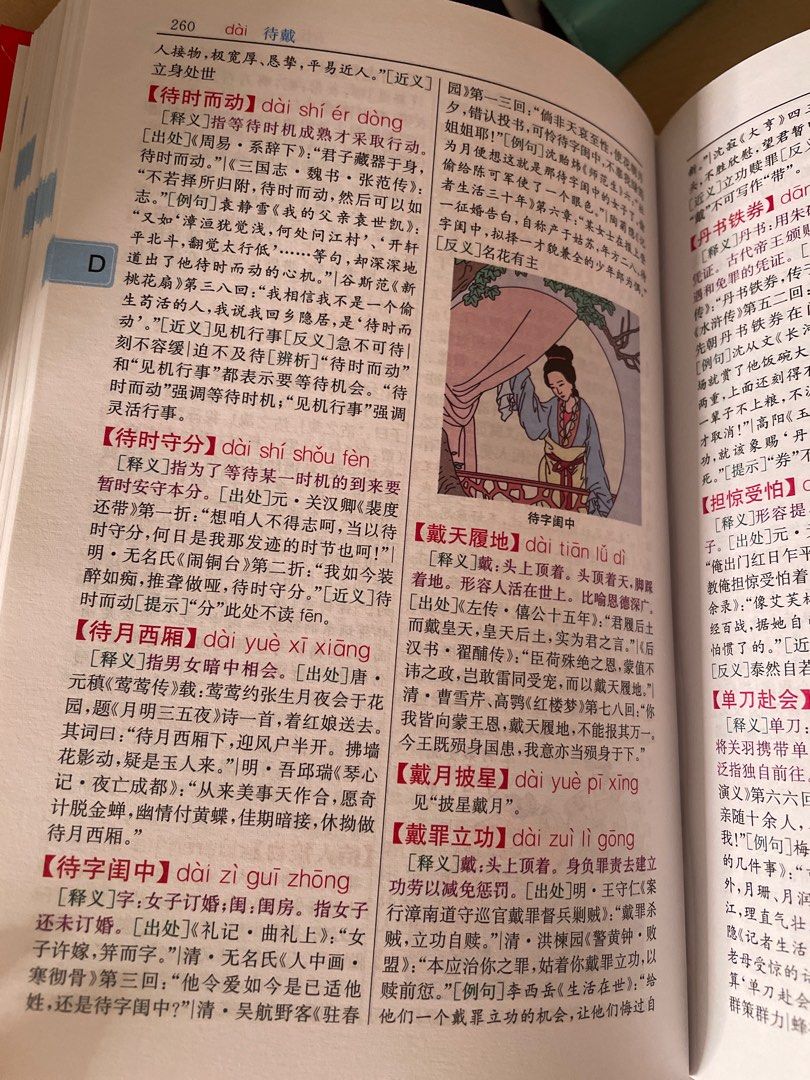 Chinese Idiom Dictionary, Hobbies & Toys, Books & Magazines, Textbooks ...