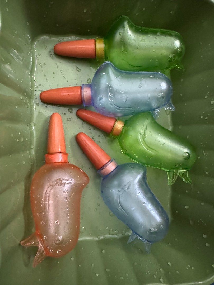 Clay tip self watering drip bird Trade for plant cuttings, Furniture ...