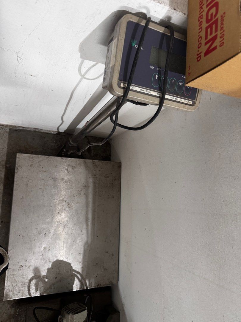 DS-166 DIGITAL WEIGHING SCALE / MAX 300KGS, TV & Home Appliances, Other ...