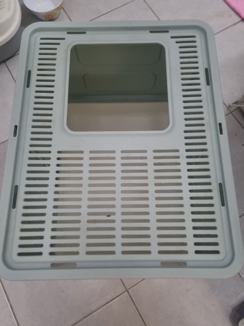 Enclosed Cat Litter Box - Mint Green, Pet Supplies, Homes & Other Pet ...