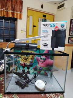 4FT Crystal Clear Tank Full Set, Pet Supplies, Homes & Other Pet ...