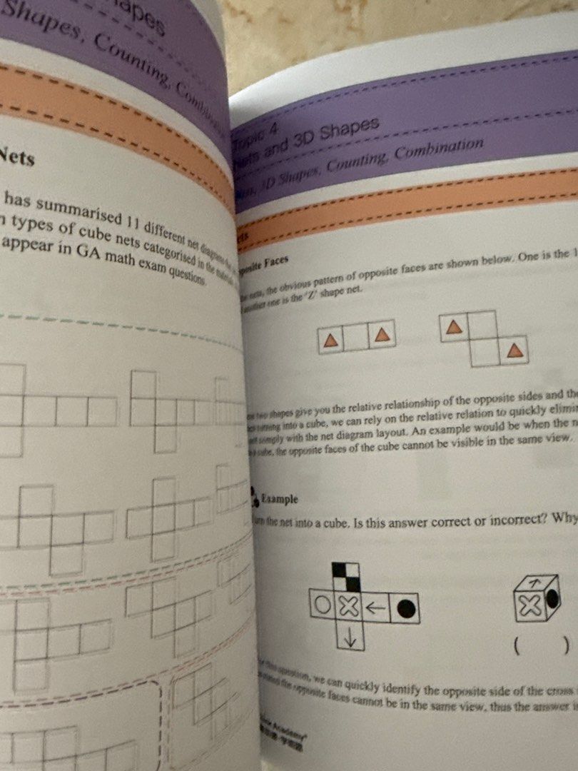 GEP General Ability Guide Book & Practice, all-in-one guide: lower ...