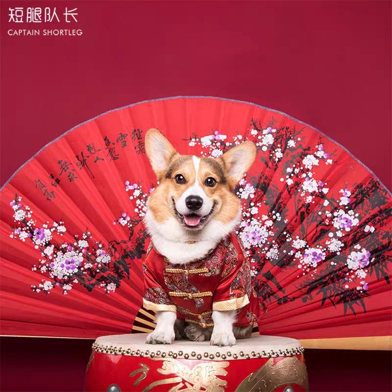 Pet Dog Puppy Chinese New Year Outfit Clothes 2XL CNY Lunar New Year ...