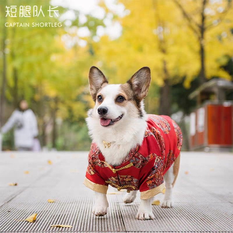 Pet Dog Puppy Chinese New Year Outfit Clothes 2XL CNY Lunar New Year ...