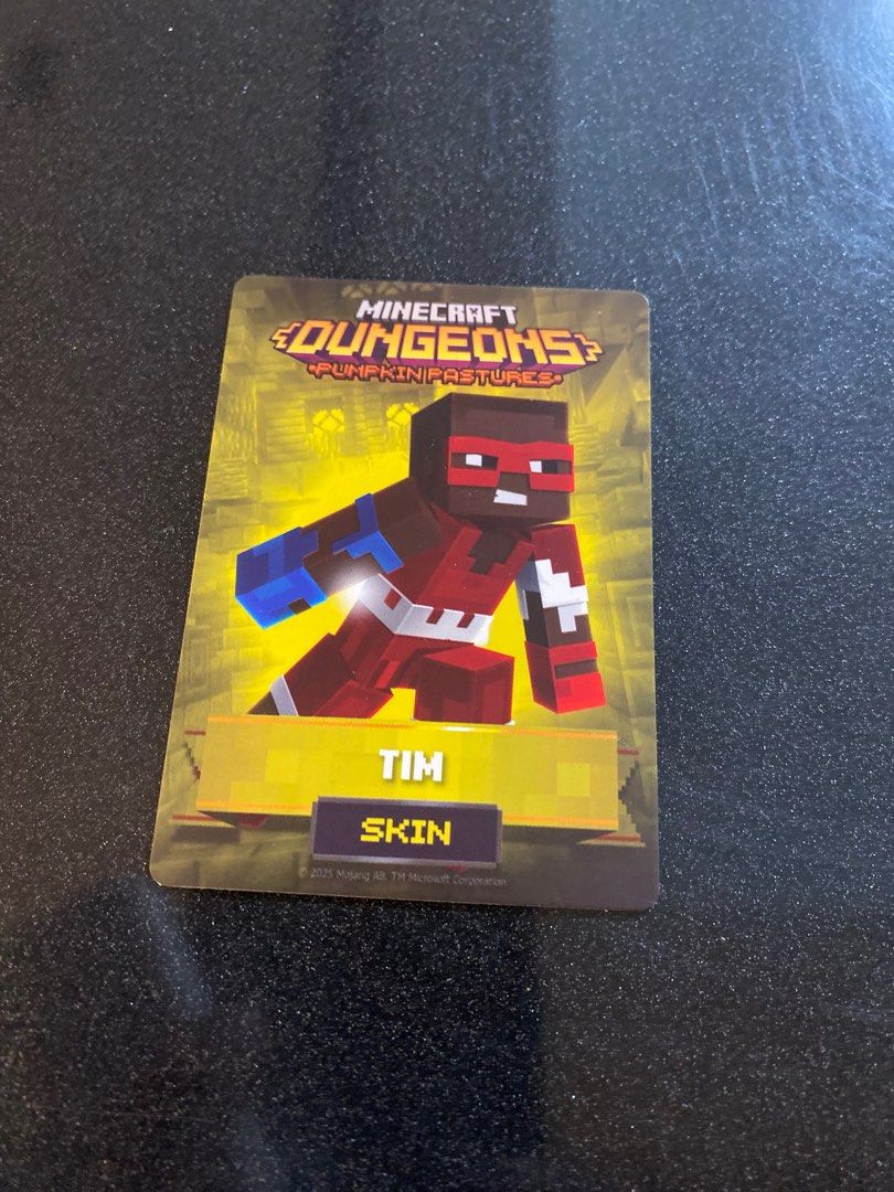 Minecraft Dungeons Arcade Tim, Hobbies & Toys, Toys & Games on Carousell